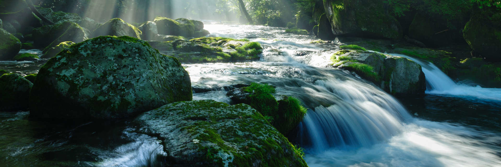 Clean Smoke - CleanSmoke